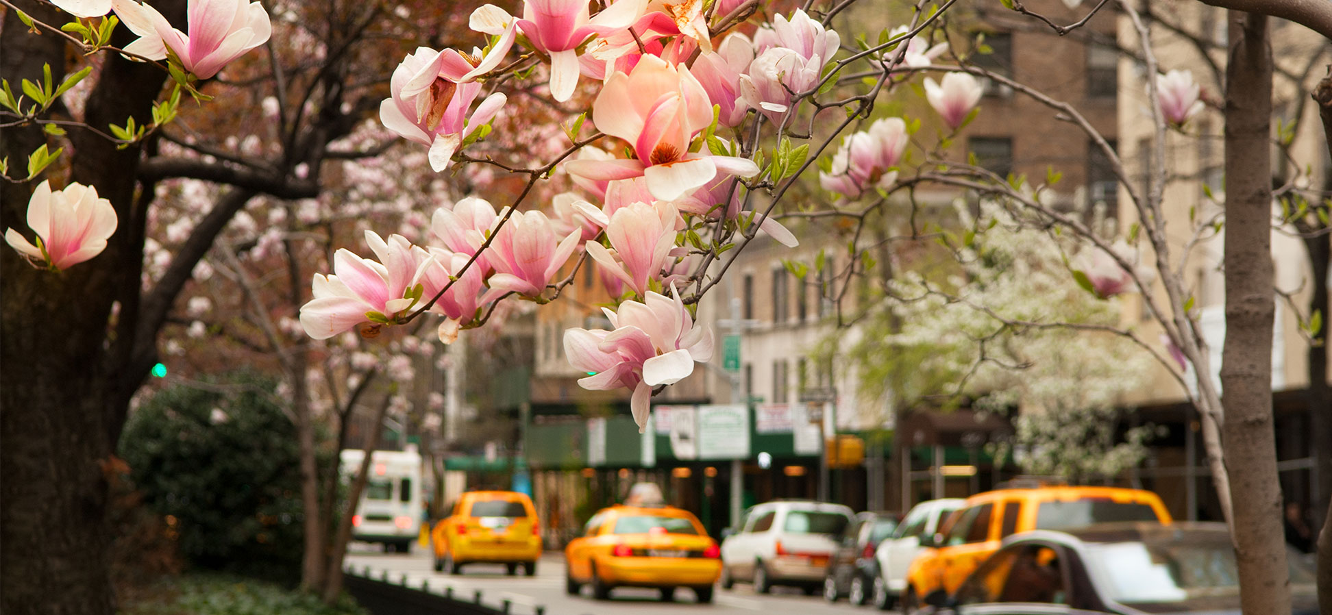 Our Top 6 Things to Do in NYC this Spring | SpotHero Blog