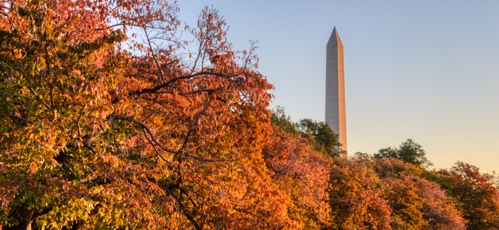 SpotHero Fall Picks: Our Top 7 Things to do in DC This Fall - SpotHero Blog