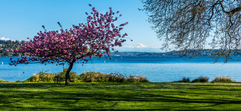 SpotHero Spring Picks: Our top 6 things to Do in Seattle this Spring ...